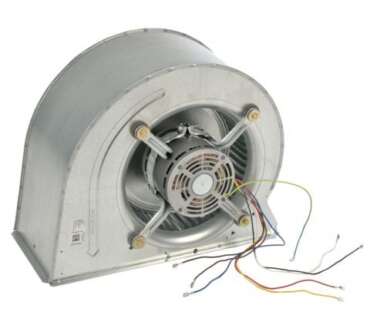 How to clean the blower motor on furnace? | Blog PROMASTER